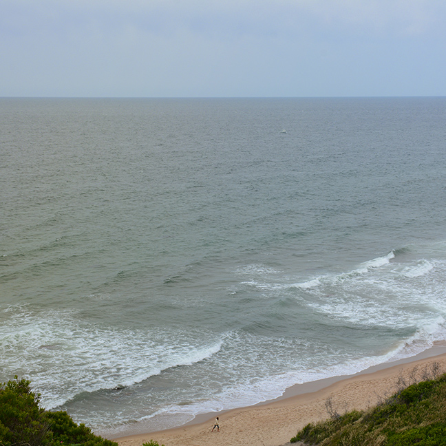 Island time – the foodie and the dog