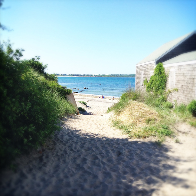 Island time – the foodie and the dog