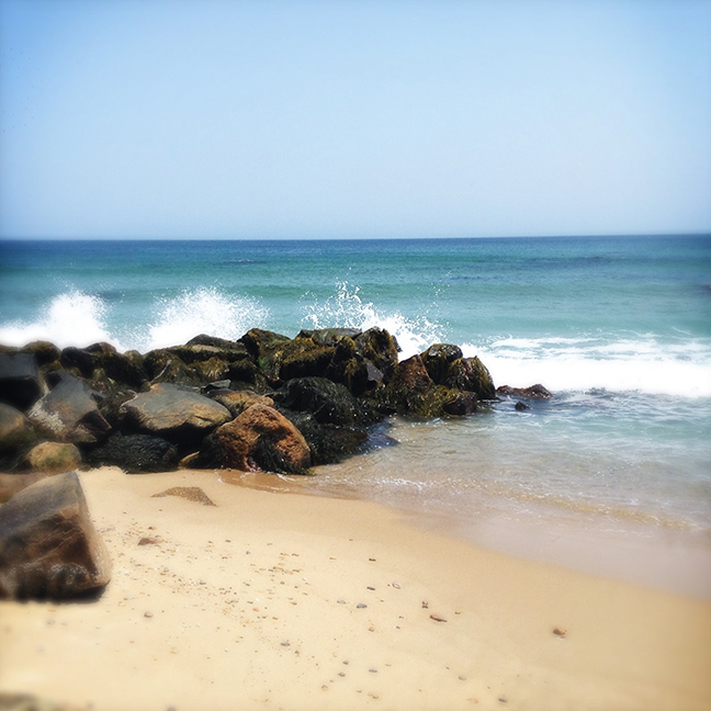 Island time – the foodie and the dog